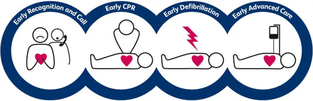 The four steps of the chain of survival – Free CPR Training